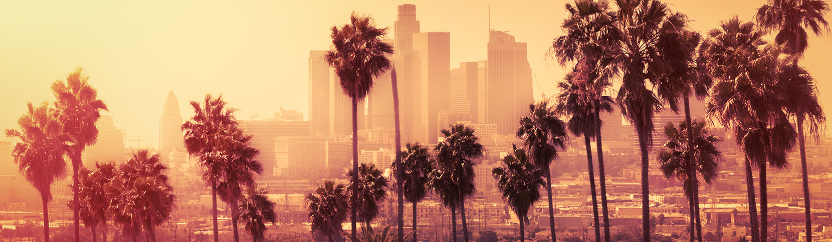 Los Angeles Airport Transfers (LAX) | Taxi Transfer Transfeero