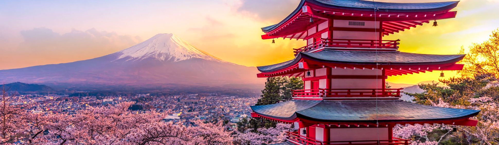 Your Ultimate Guide to Tokyo's Main Airports and Stations