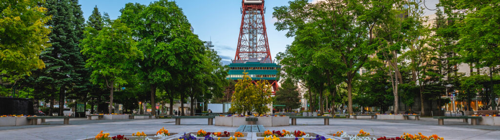 Sapporo Okadama Airport Transfers (OKD) | Transfer Transfeero