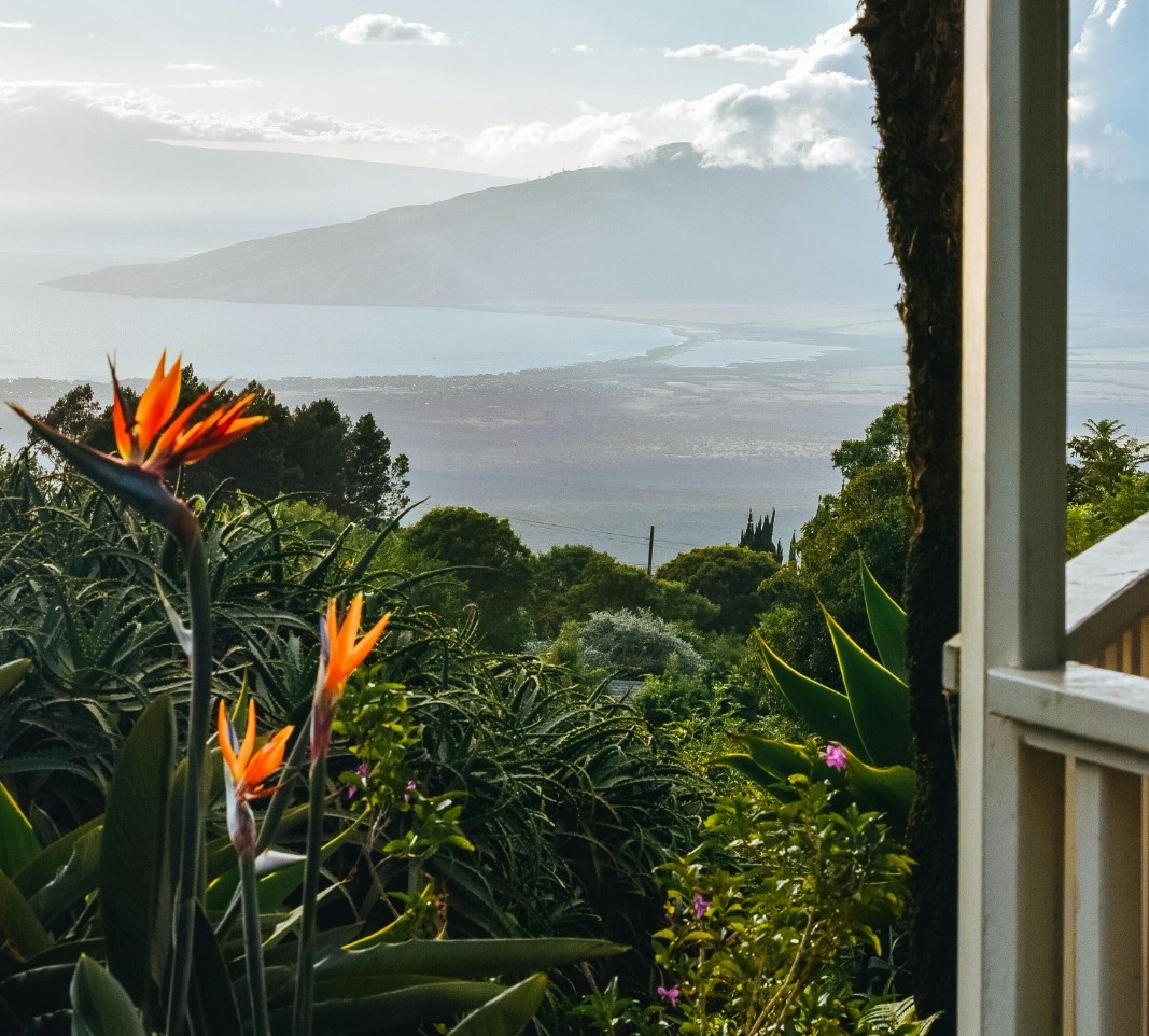 Explore Maui's Hidden Gems This November
